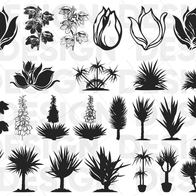 Yucca Plant Svg - Etsy