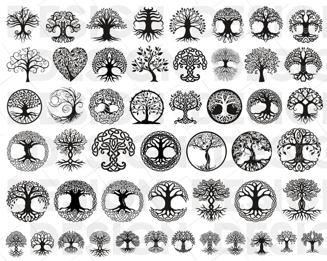 50+ CELTIC TREE SVG, Celtic Tree of Life Graphic Bundle, Family Tree ...