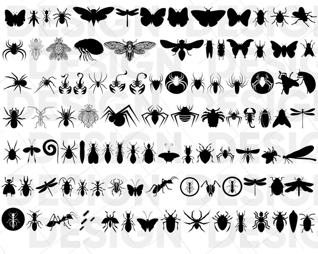100+ INSECTS SVG BUNDLE, Insect Png, Insect Clipart, Insect Vector ...