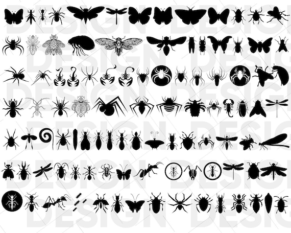 100 INSECTS SVG BUNDLE Insect Png Insect Clipart Insect - Etsy