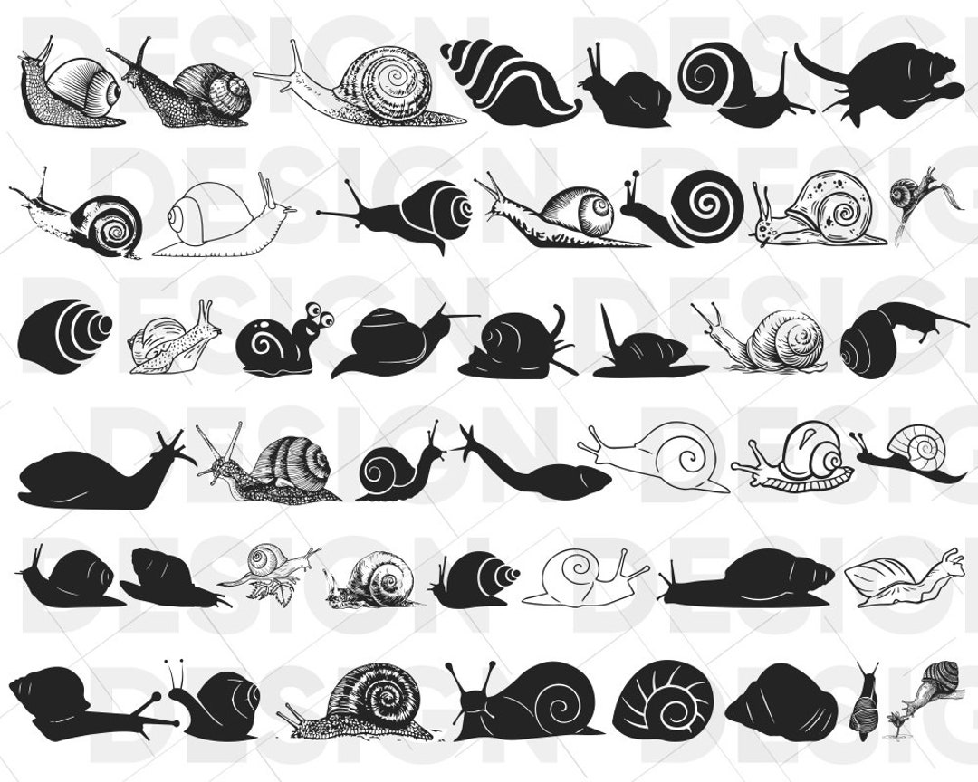 40+ SNAIL SVG BUNDLE, Snail Png, Snail Eps, Snail Dxf, Snail Silhouette ...