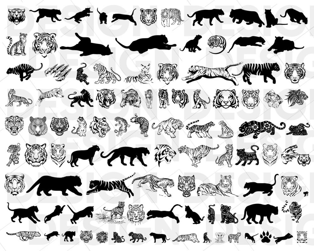 120+ TIGERS SVG BUNDLE, Tiger Graphic Bundle, Tiger Chinese New Year ...