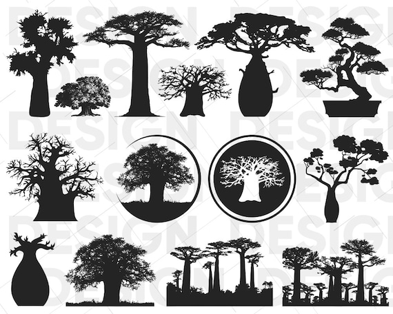 10 BAOBAB TREE SVG Bundle Baobab Tree Svg Baobab | Etsy