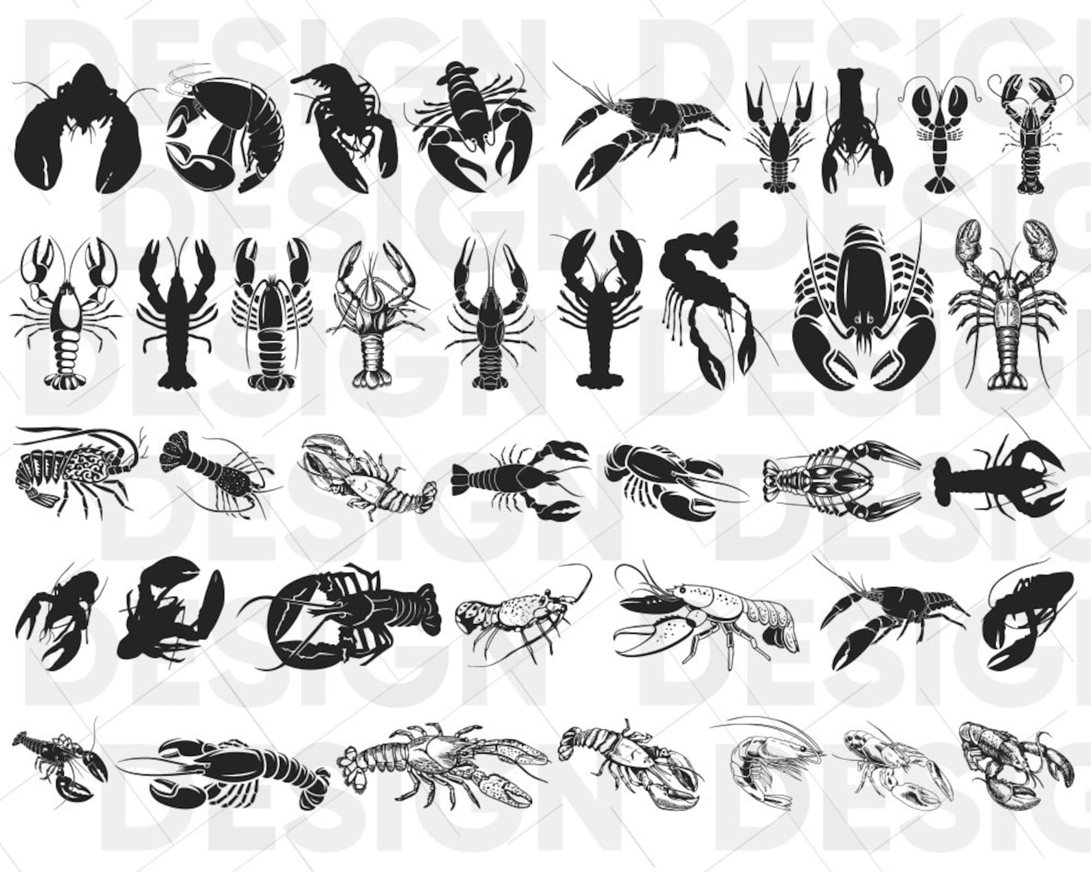 40+ CRAWFISH SVG Bundle, Crawfish Silhouette, Crawfish Drawing ...