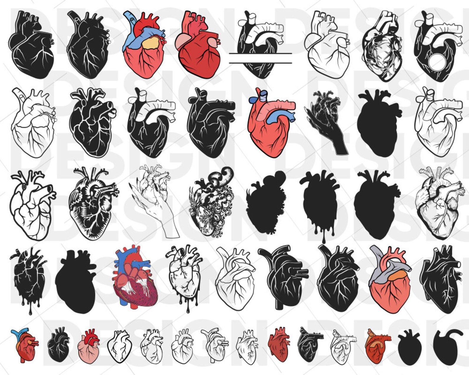 47 HUMAN HEARTS SVG Bundle, Human Heart Vector, Human Heart Png, Human ...