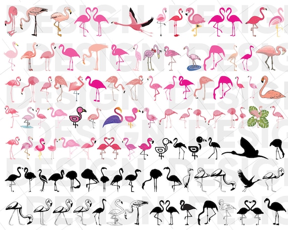 100 FLAMINGO SVG BUNDLE Flamingo Clipart Pink Flamingo Svg - Etsy
