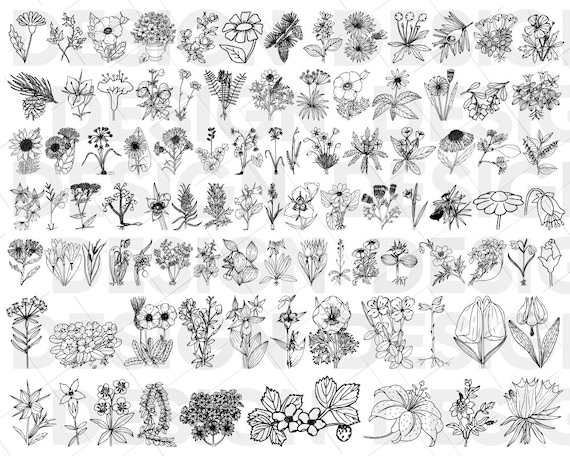 90 WILDFLOWER SVG BUNDLE Wildflowers Png Wildflowers - Etsy