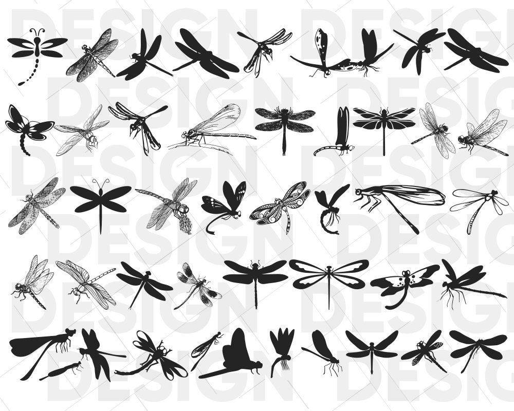 40 DRAGONFLY SVG Bundle Dragonfly Outline Svg Dragonfly - Etsy