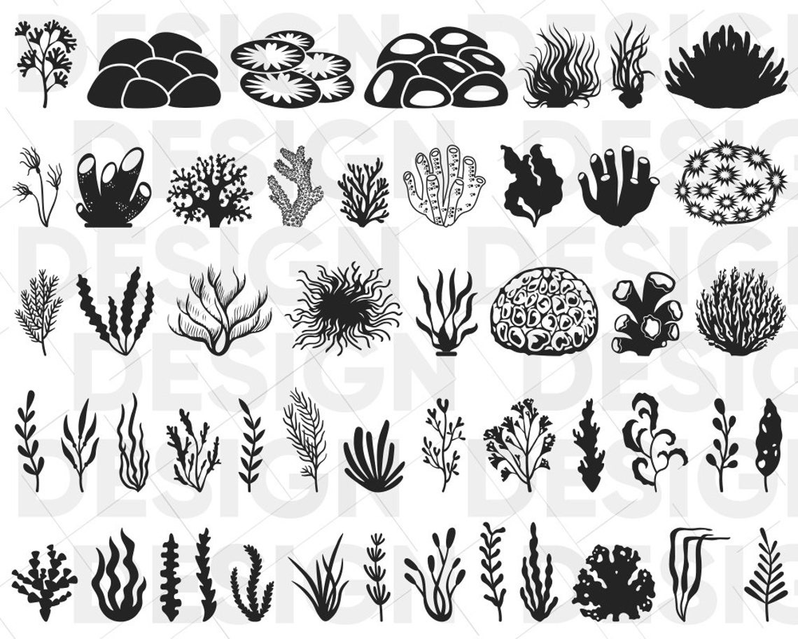 45+ CORALS SVG BUNDLE, Coral Silhouette, Coral Png, Coral Images, Coral ...