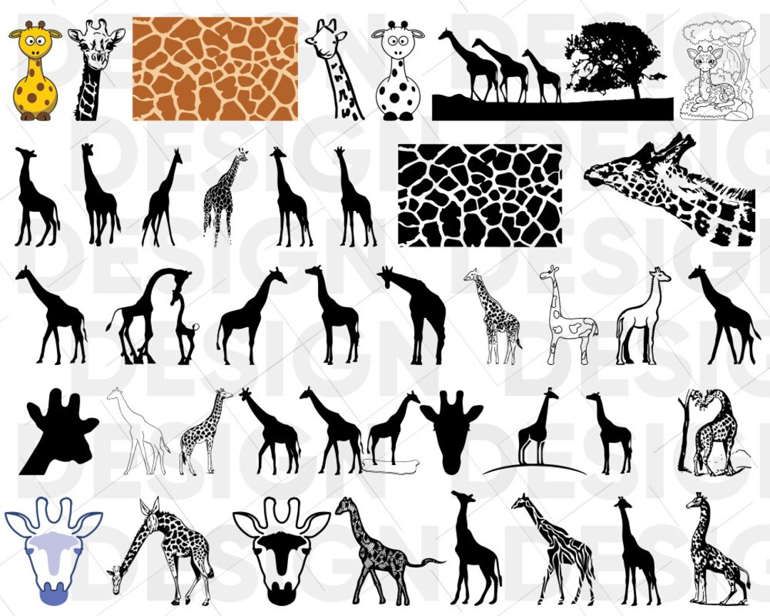 40+ GIRAFFE SVG BUNDLE, Giraffe Cricut, Giraffe Clipart, Giraffe ...