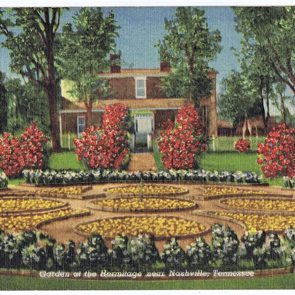 Tennessee Postcard - Etsy
