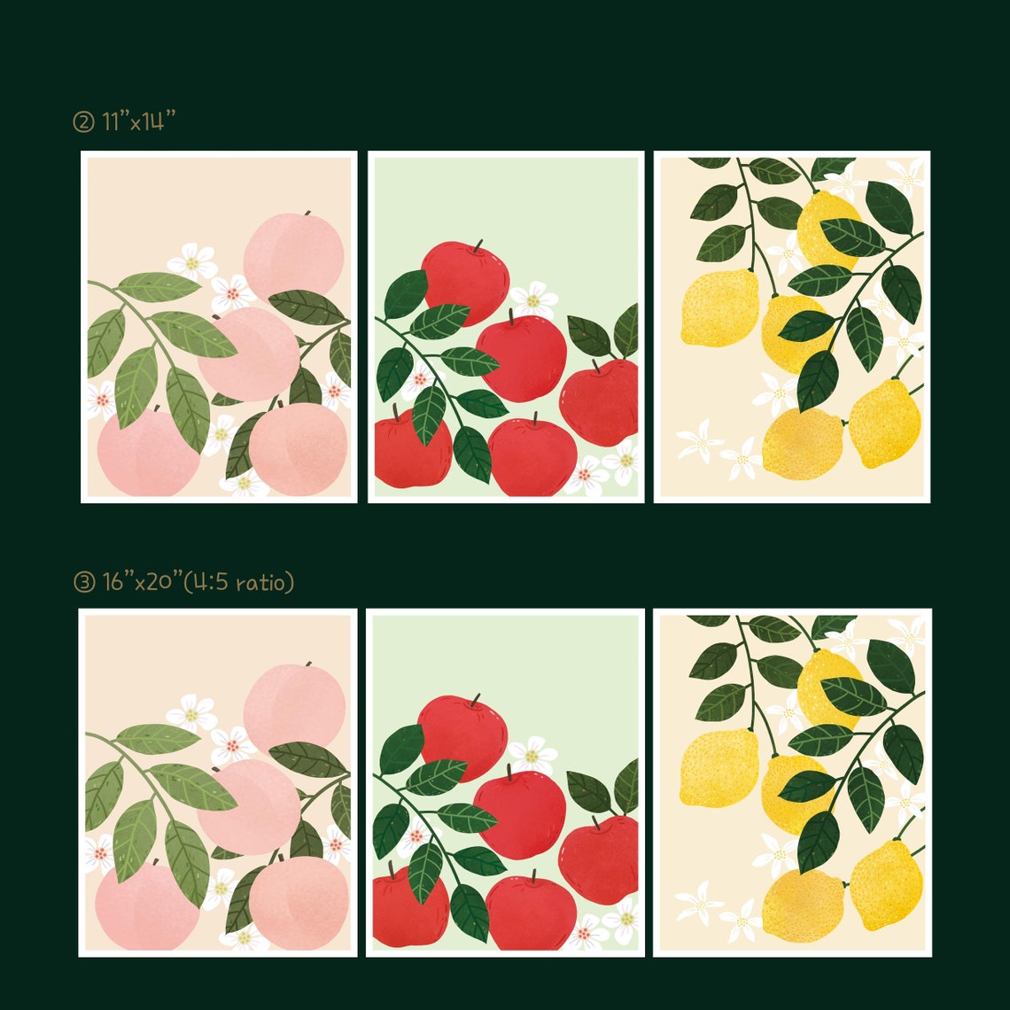 Fruit Printable Wall Art Set of 3 / Fruit Print / Illustration | Etsy