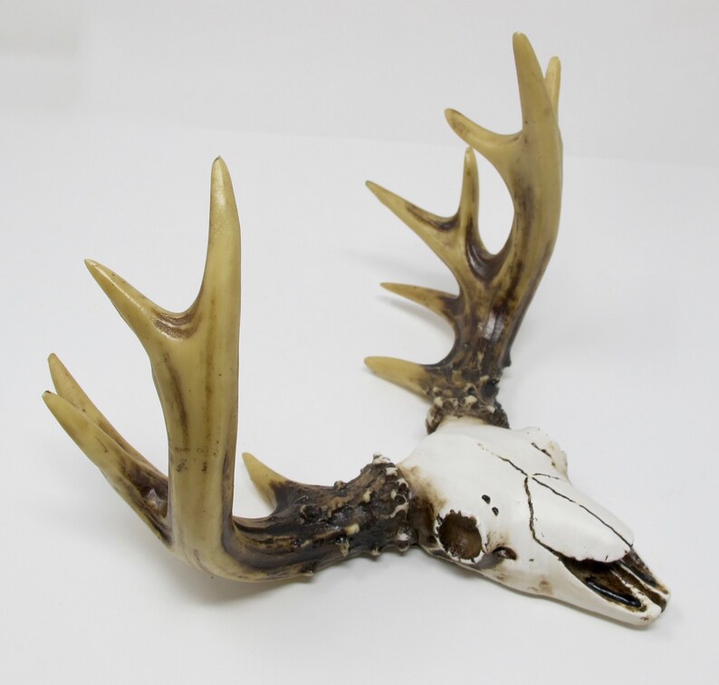 Resin Stag Skull Replica With 7-point Antlers - Etsy