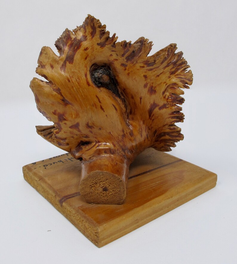 Rosewood Root Burl Sculpture From Intibuca, Honduras - Etsy