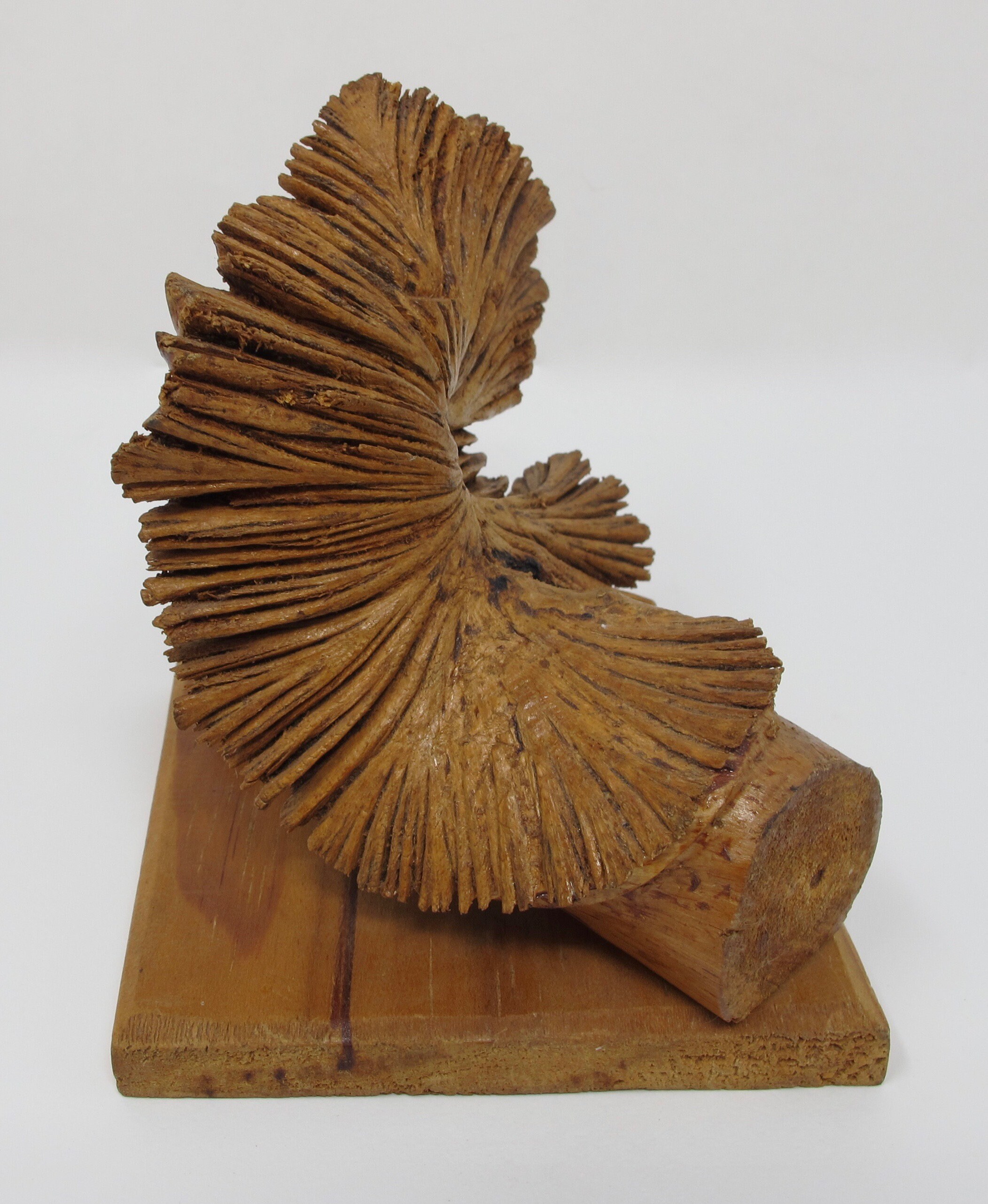 Rosewood Root Burl Sculpture From Intibuca, Honduras - Etsy