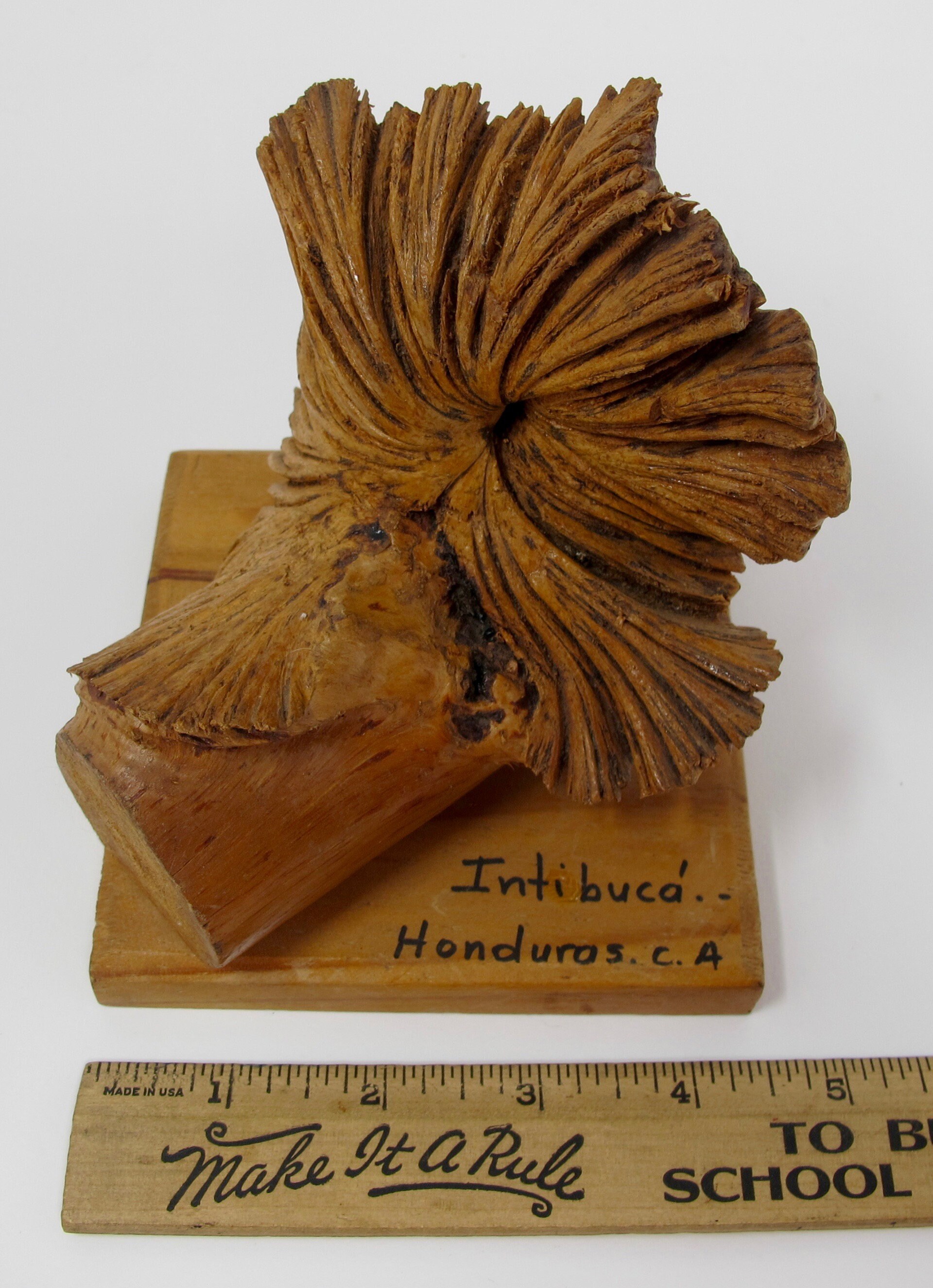 Rosewood Root Burl Sculpture From Intibuca, Honduras - Etsy
