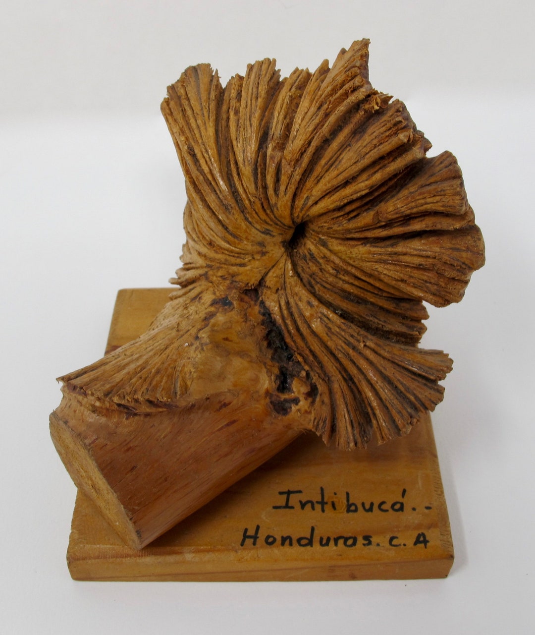 Rosewood Root Burl Sculpture From Intibuca, Honduras - Etsy