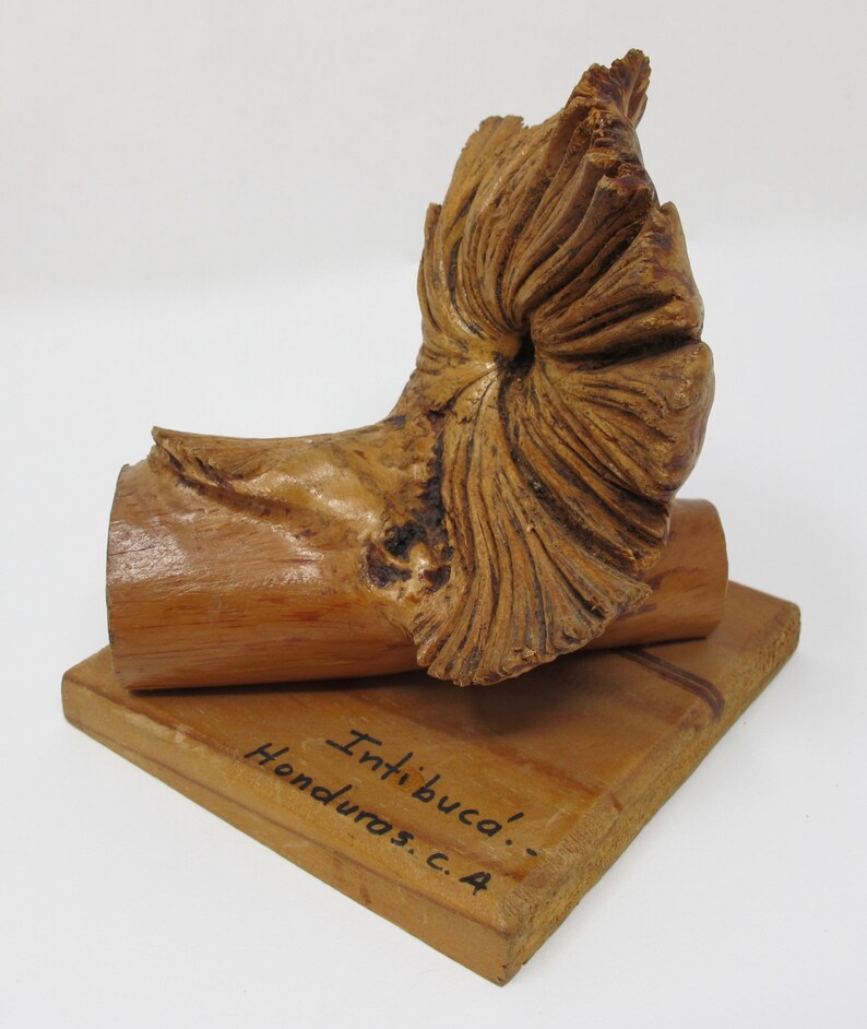 Rosewood Root Burl Sculpture From Intibuca, Honduras - Etsy