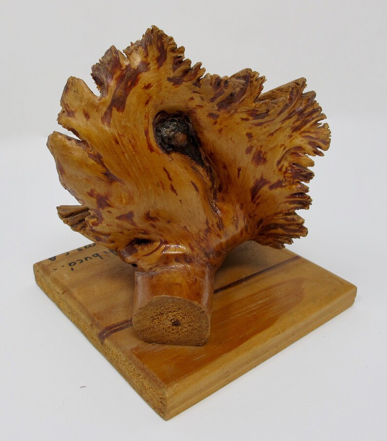 Rosewood Root Burl Sculpture From Intibuca, Honduras - Etsy