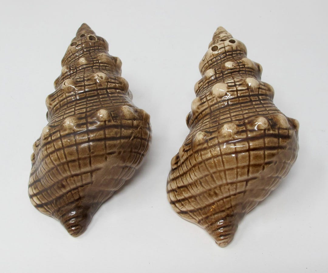 Brown Ceramic Conch Sea Shell Salt & Pepper Shakers - Etsy