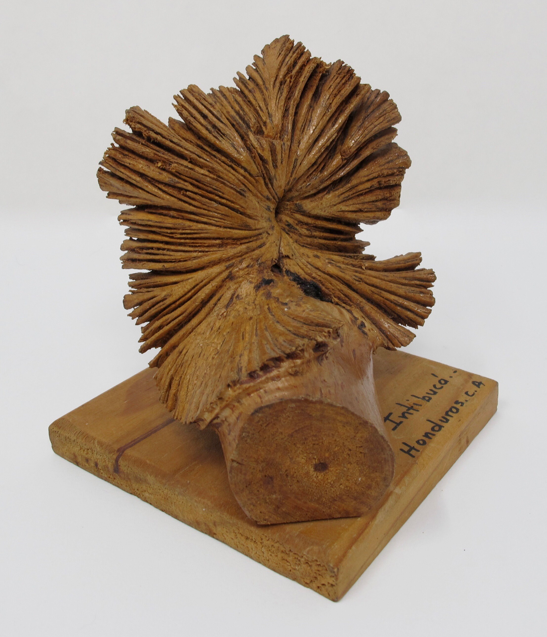 Rosewood Root Burl Sculpture From Intibuca Honduras - Etsy