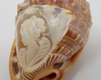 Carved Conch Shell - Etsy