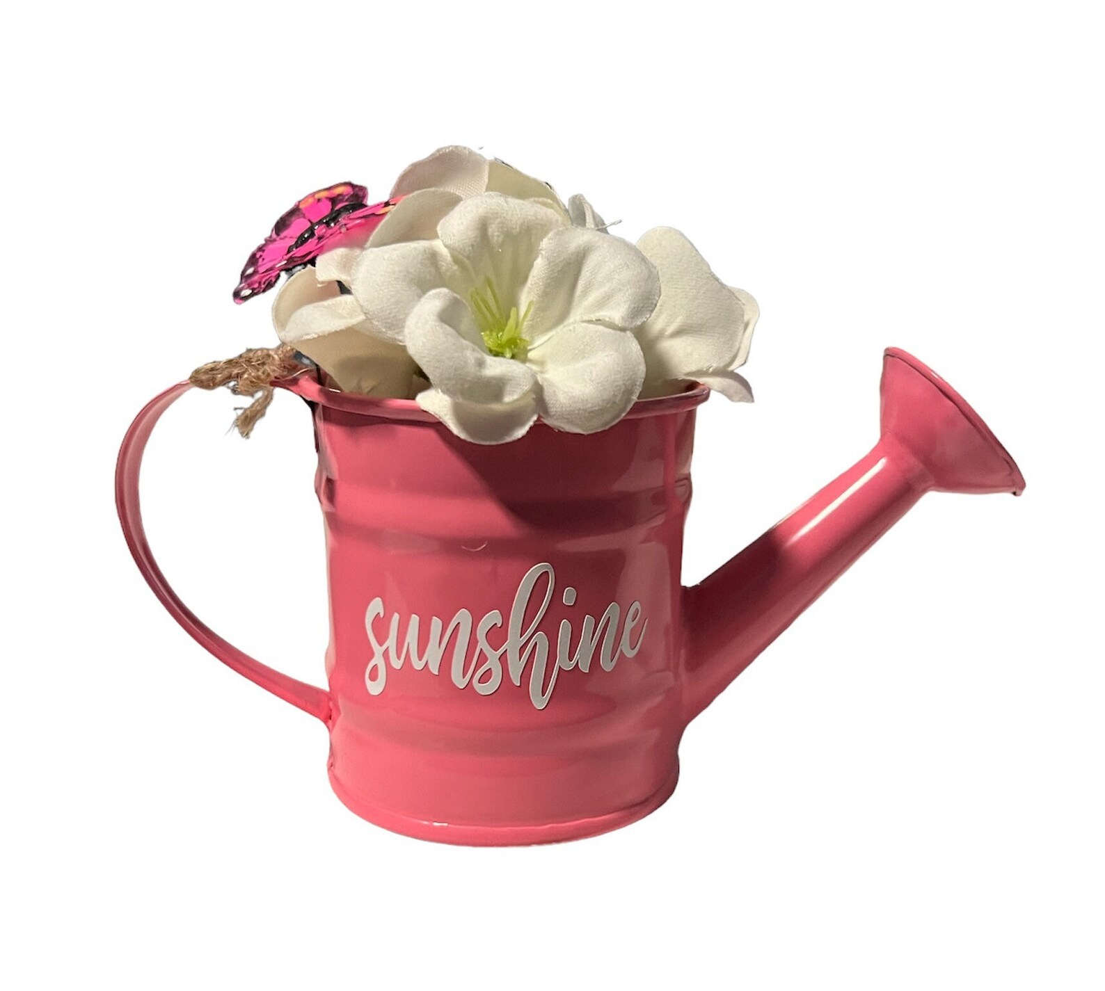 Mini Watering Can Mini Watering Pail Summer Tiered Tray - Etsy