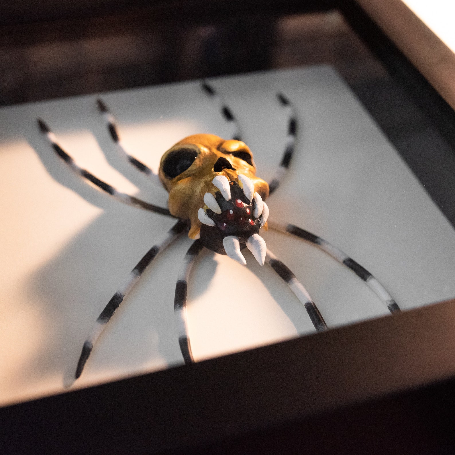 Skulltula Legend of Zelda Taxidermy Spider Framed Wall Decor Oddities ...