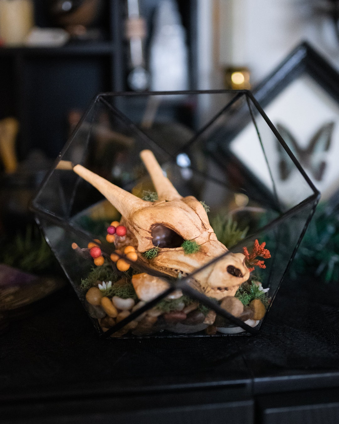 Charizard Skull Pokémon Geometric Terrarium - Etsy