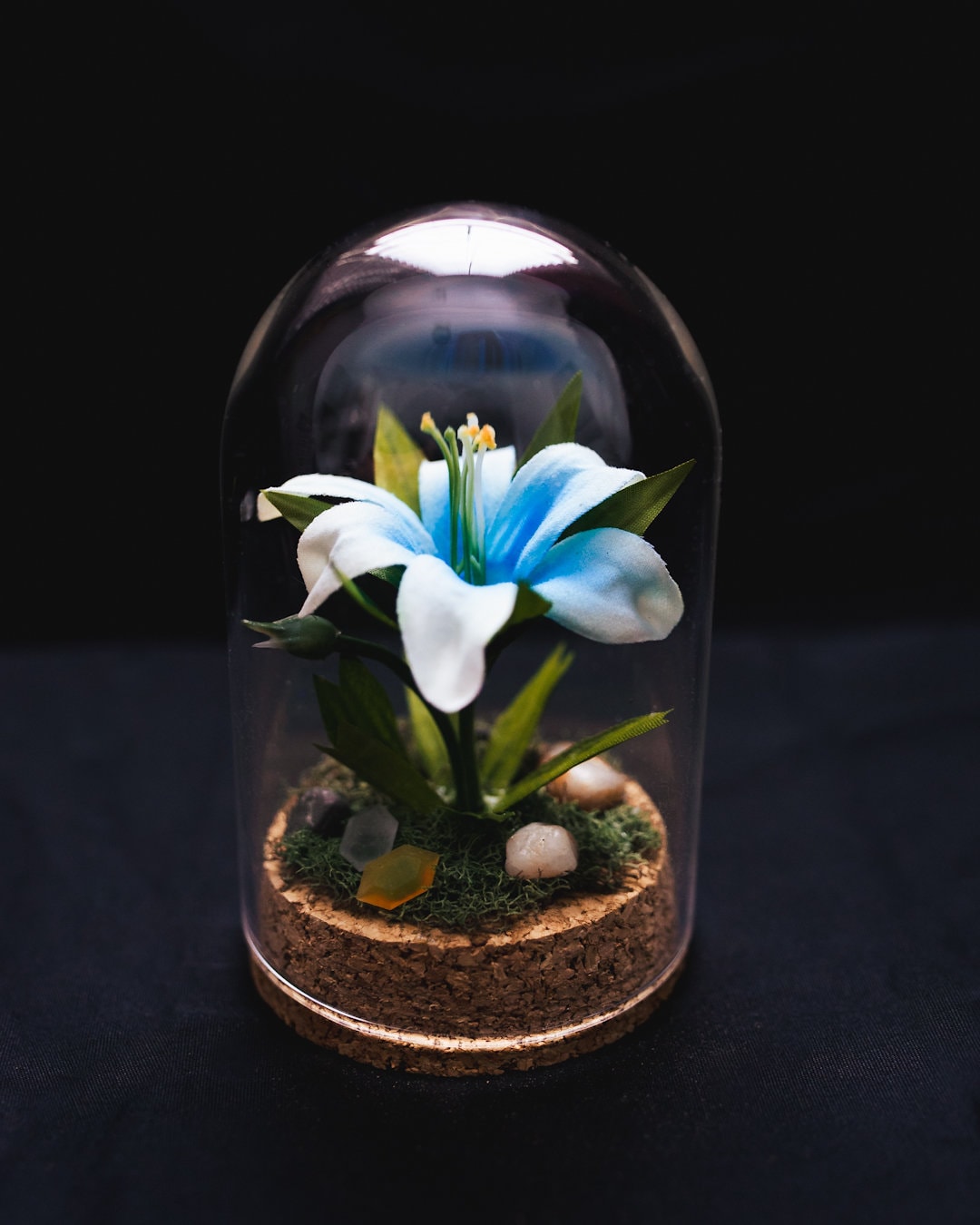 Silent Princess - Legend of Zelda Mini Terrarium Breath of the Wild - Etsy