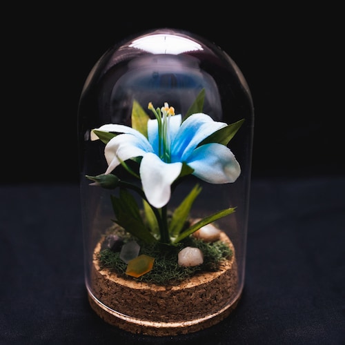 Majora's Mask Legend of Zelda Mini Terrarium - Etsy