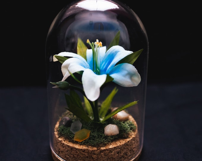Silent Princess - Legend of Zelda Mini Terrarium Breath of the Wild - Etsy