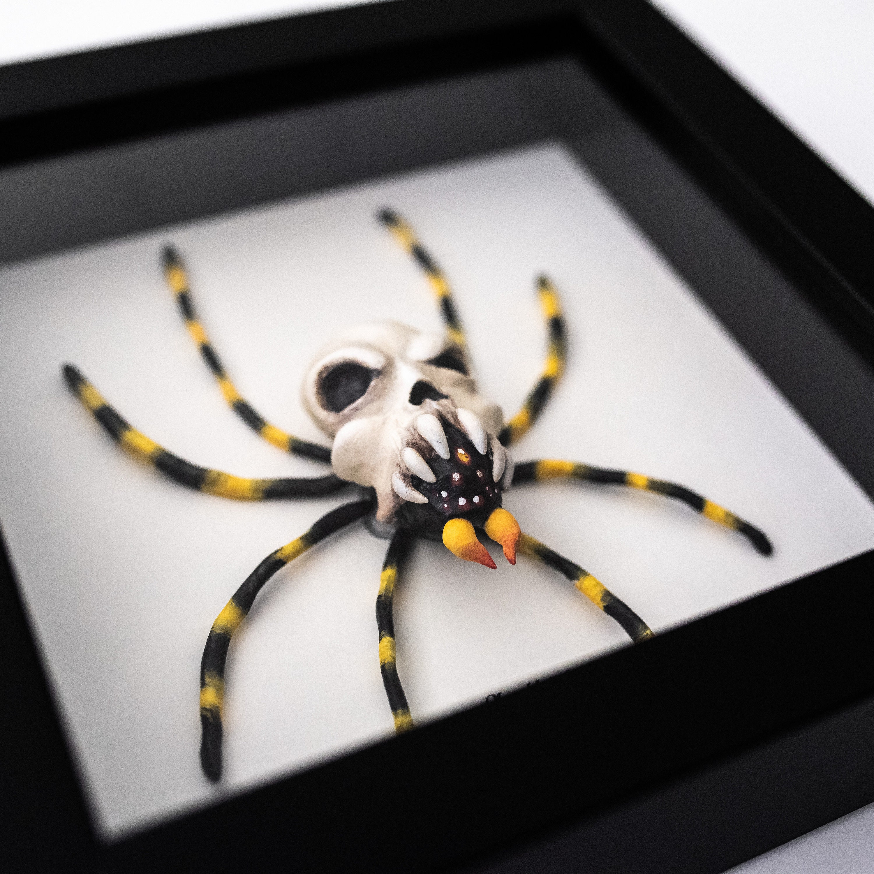Skulltula Legend of Zelda Taxidermy Spider Framed Wall Decor Oddities ...