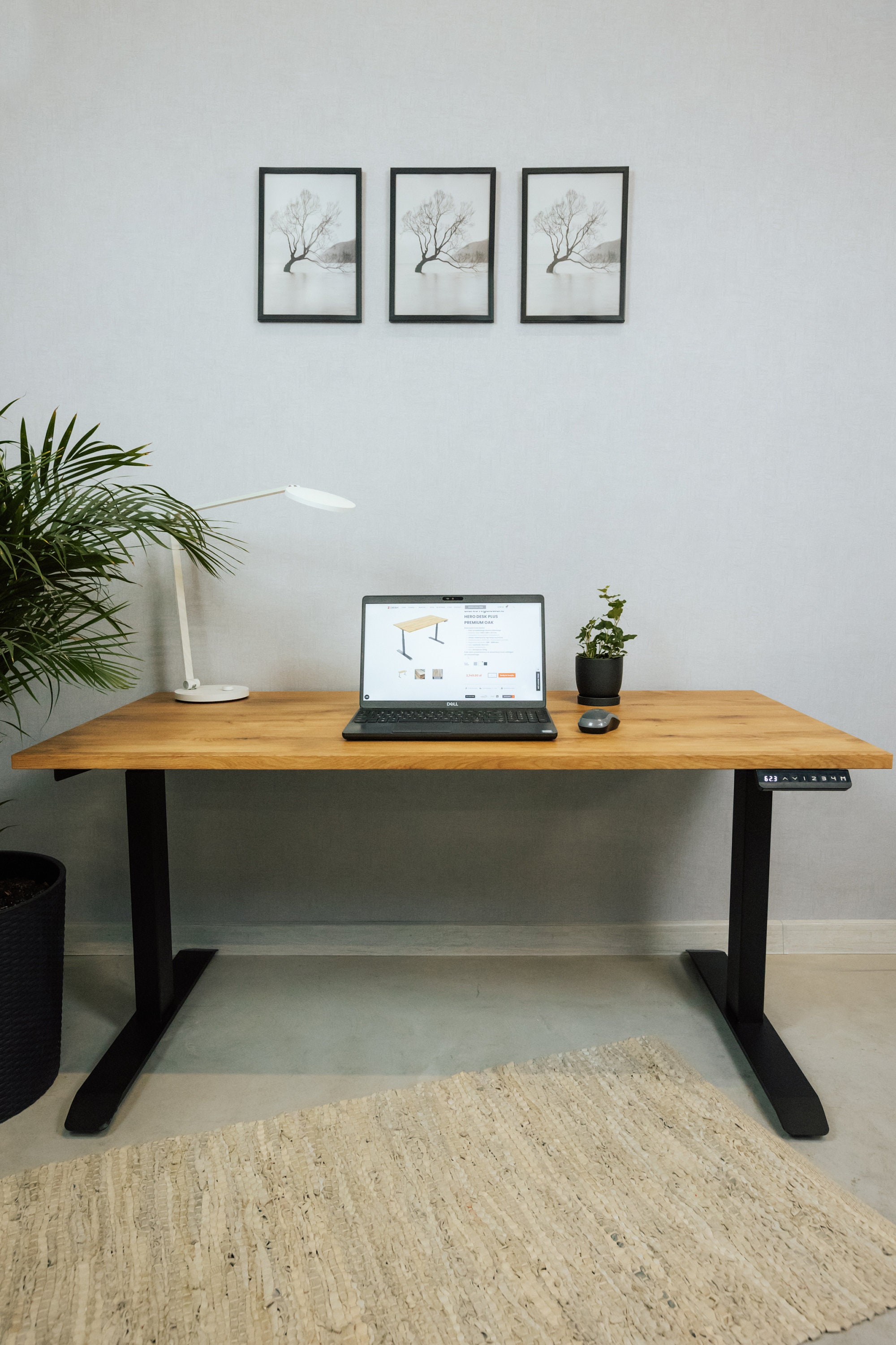 Oak Standing Desk Sit Stand Desk Adjustable Office Desk Sitting ...