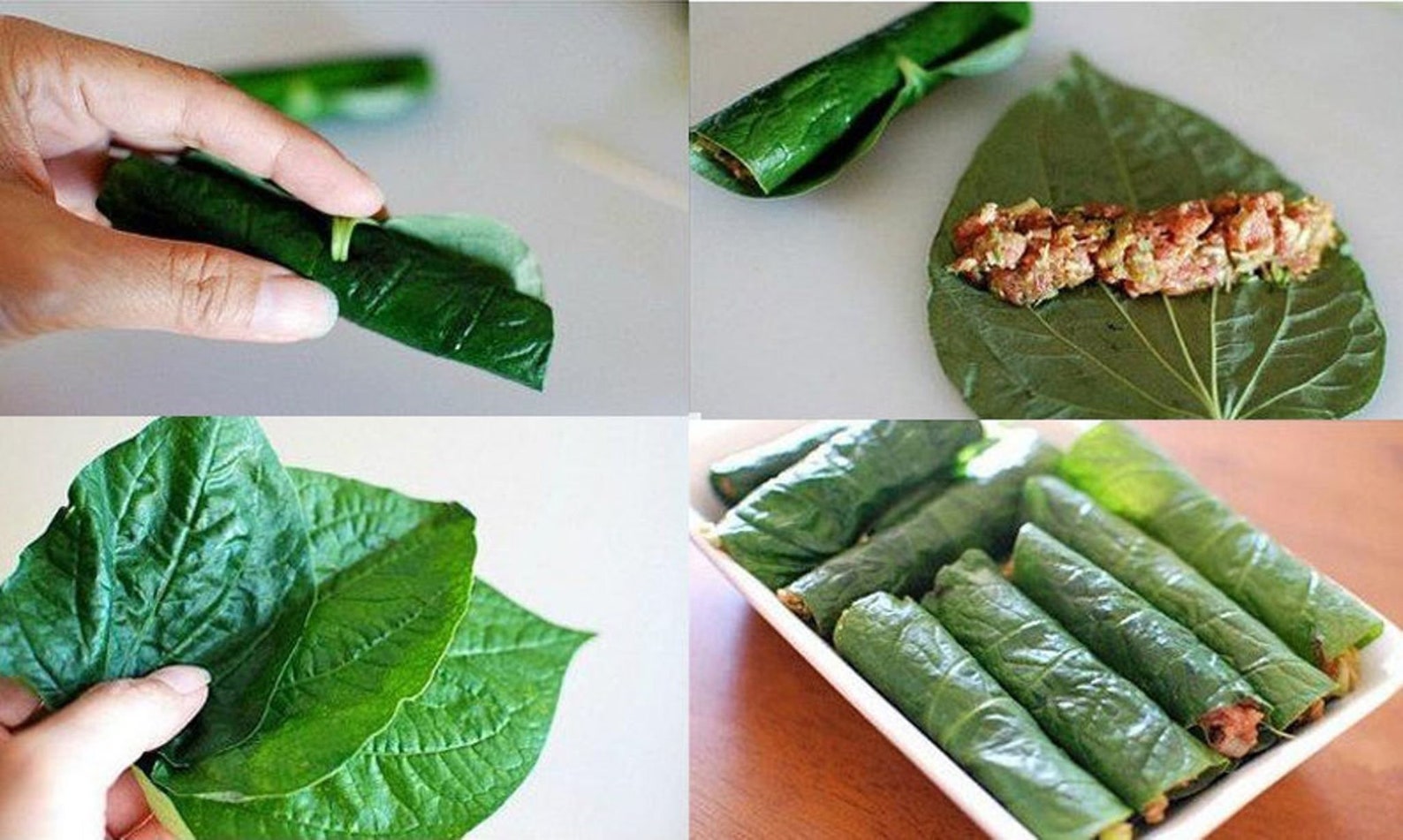 Dried Betel Leaves, Fresh Dried Herbal Leaf for Health ,ceylon 100 ...