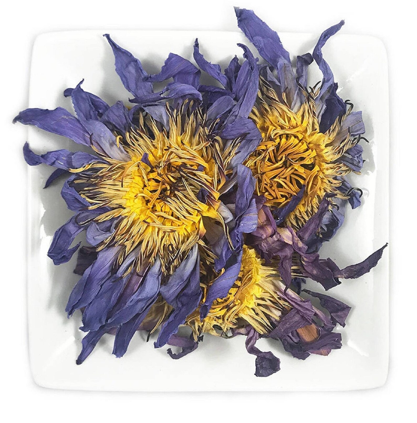 How To Use Dried Blue Lotus Flowers at Isabel Spiegel blog