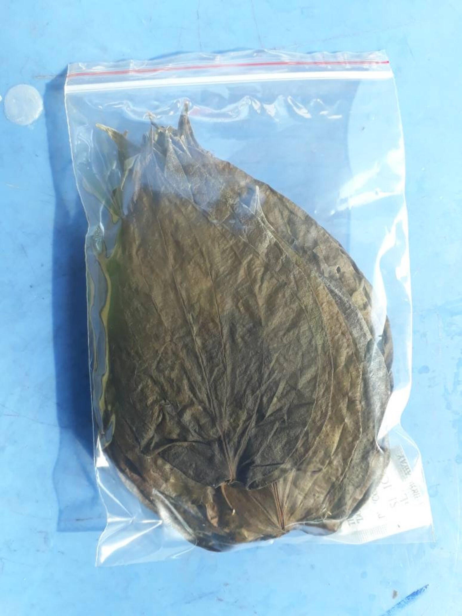 Dried Betel Leaves, Fresh Dried Herbal Leaf for Health ,ceylon 100 ...