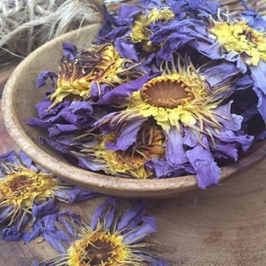 Organic Dried Blue Lotus Flowers,nymphaea Caerulea, Blue Tea, Herbal ...