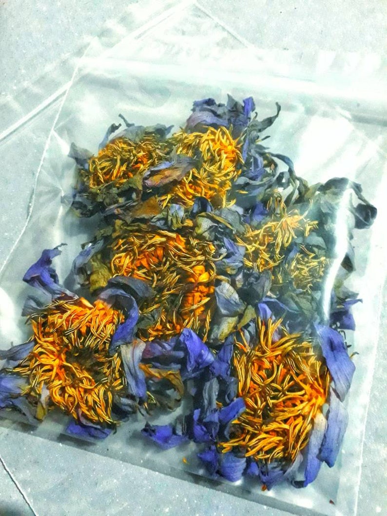 100 Organic Dried Blue Lotus Flowers Nymphaea Caerulea Blue Tea