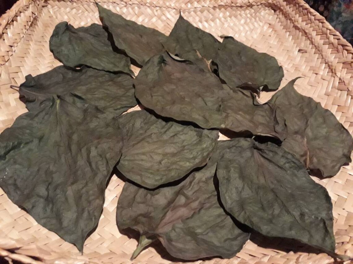 Dried Betel Leaves, Fresh Dried Herbal Leaf for Health ,ceylon 100 ...