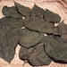 Dried Betel Leaves, Fresh Dried Herbal Leaf for Health ,ceylon 100 ...