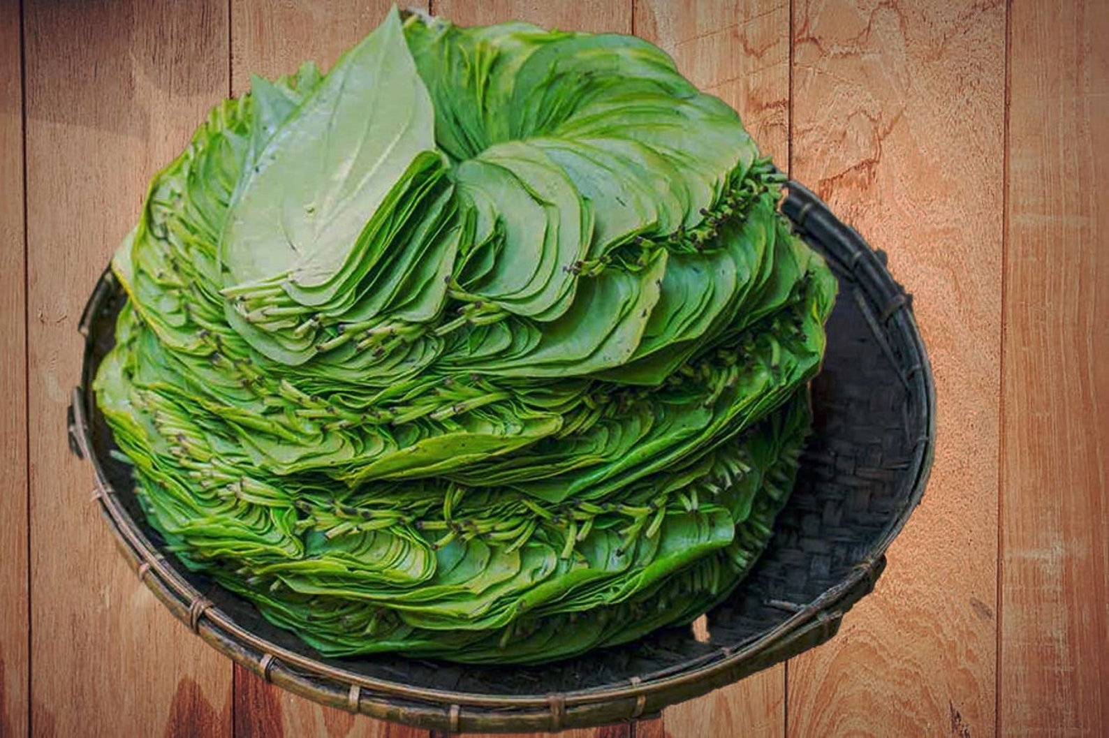 Dried Betel Leaves, Fresh Dried Herbal Leaf for Health ,ceylon 100 ...