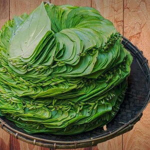Dried Betel Leaves, Fresh Dried Herbal Leaf for Health ,ceylon 100 ...
