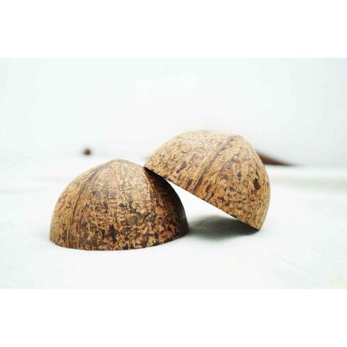 Coconut Shell Half - Etsy
