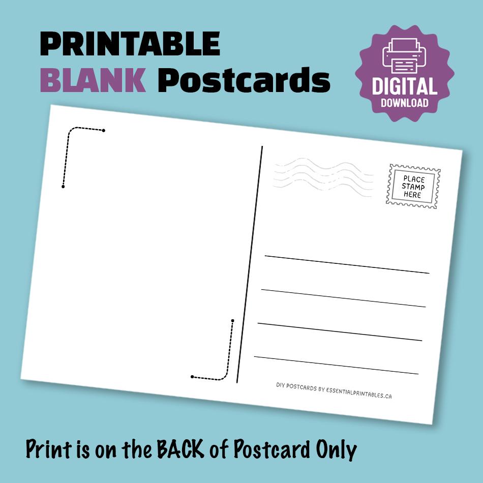 Blank Postcard Back Template
