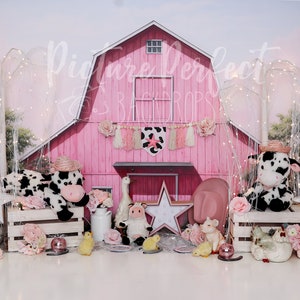 Pink Barn Glam Cowgirl Backdrop with Props Printed on Backdrop - Etsy