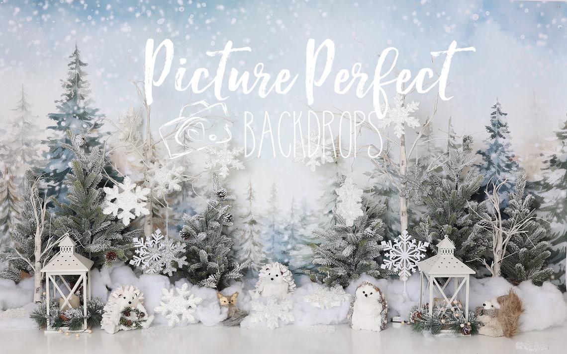 Snowy Winter Woods props Printed on the Backdrop - Etsy
