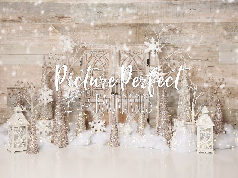 Winter Wood Neutral Backdrop - Etsy
