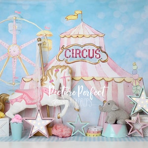 Pink Circus Carousel Backdrop with Props Printed on the Backdrop - Etsy