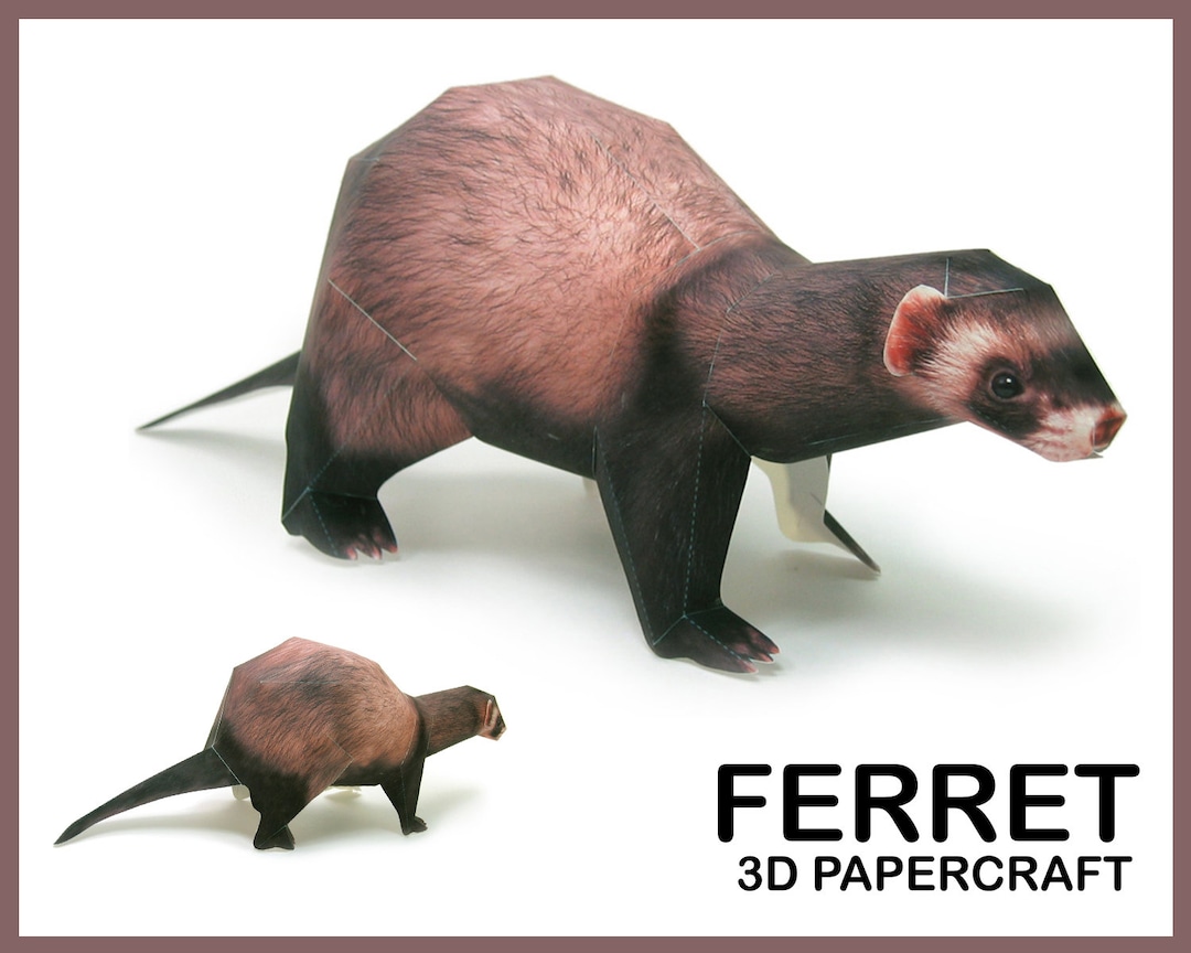 FERRET 3D Papercraft / Animals Papercraft 3D / 3d Origami Ferret ...